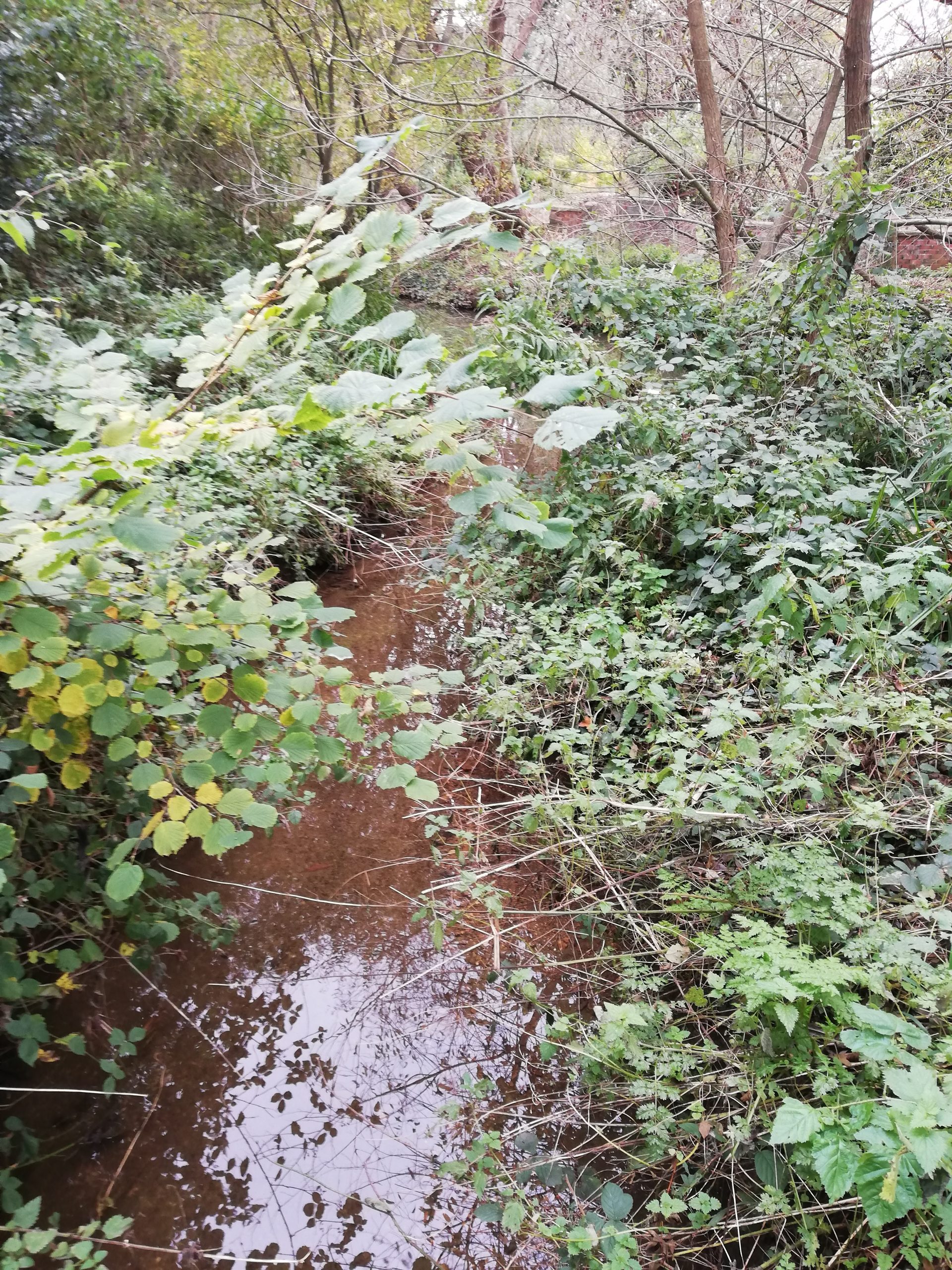 Pan Stream and Staplers Stream